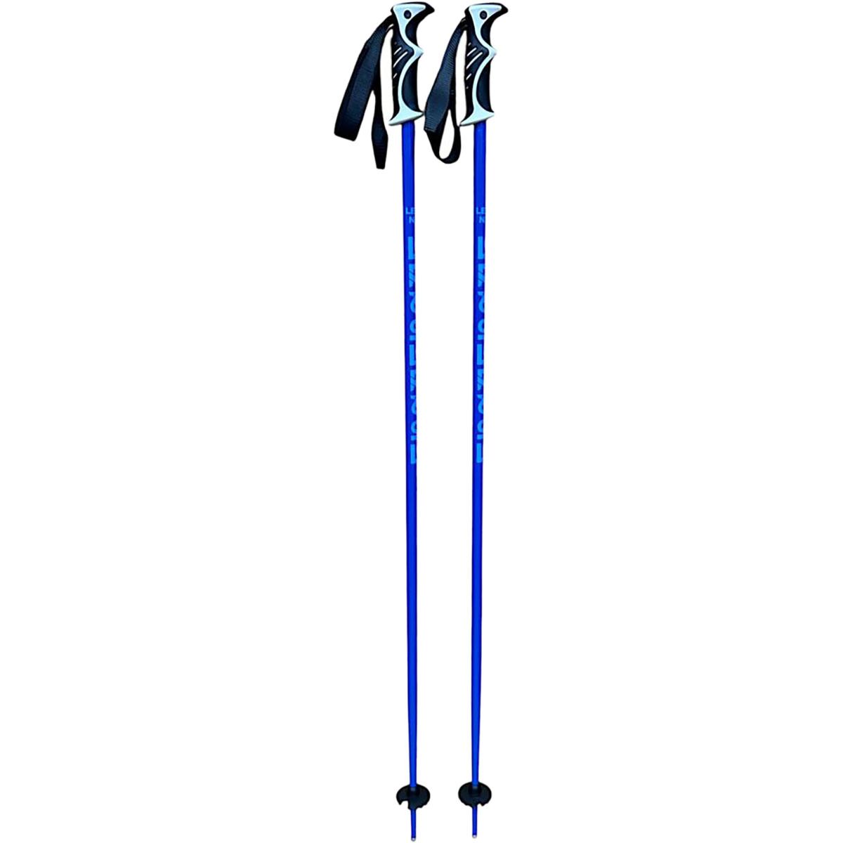 Defiance Ski Poles - 2025 - Ski
