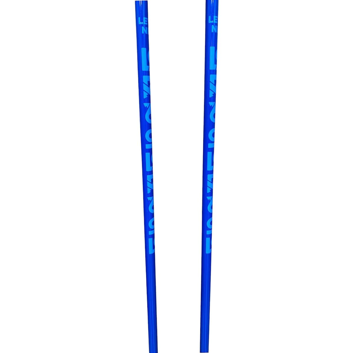 Defiance Ski Poles - 2025 - Ski
