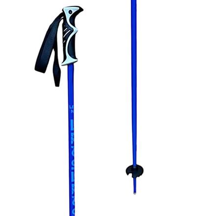 Defiance Ski Poles - 2025 - Ski
