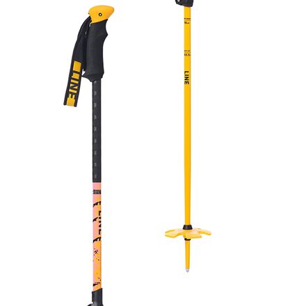 Line Vision Ski Poles - Ski